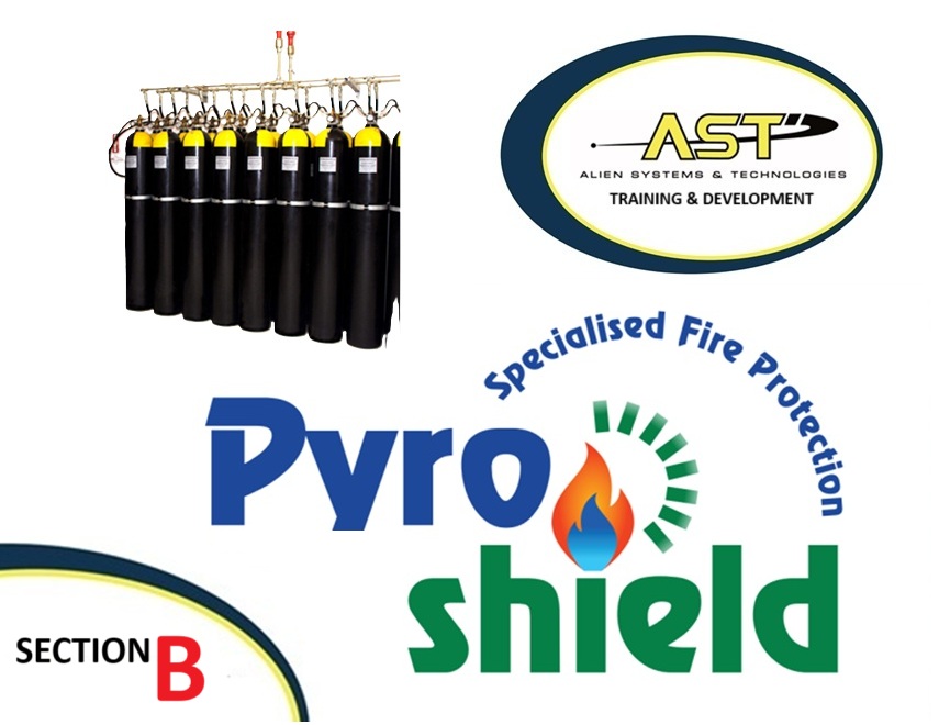 Play Post Training Assessment PyroShield Section B quiz: study these ...